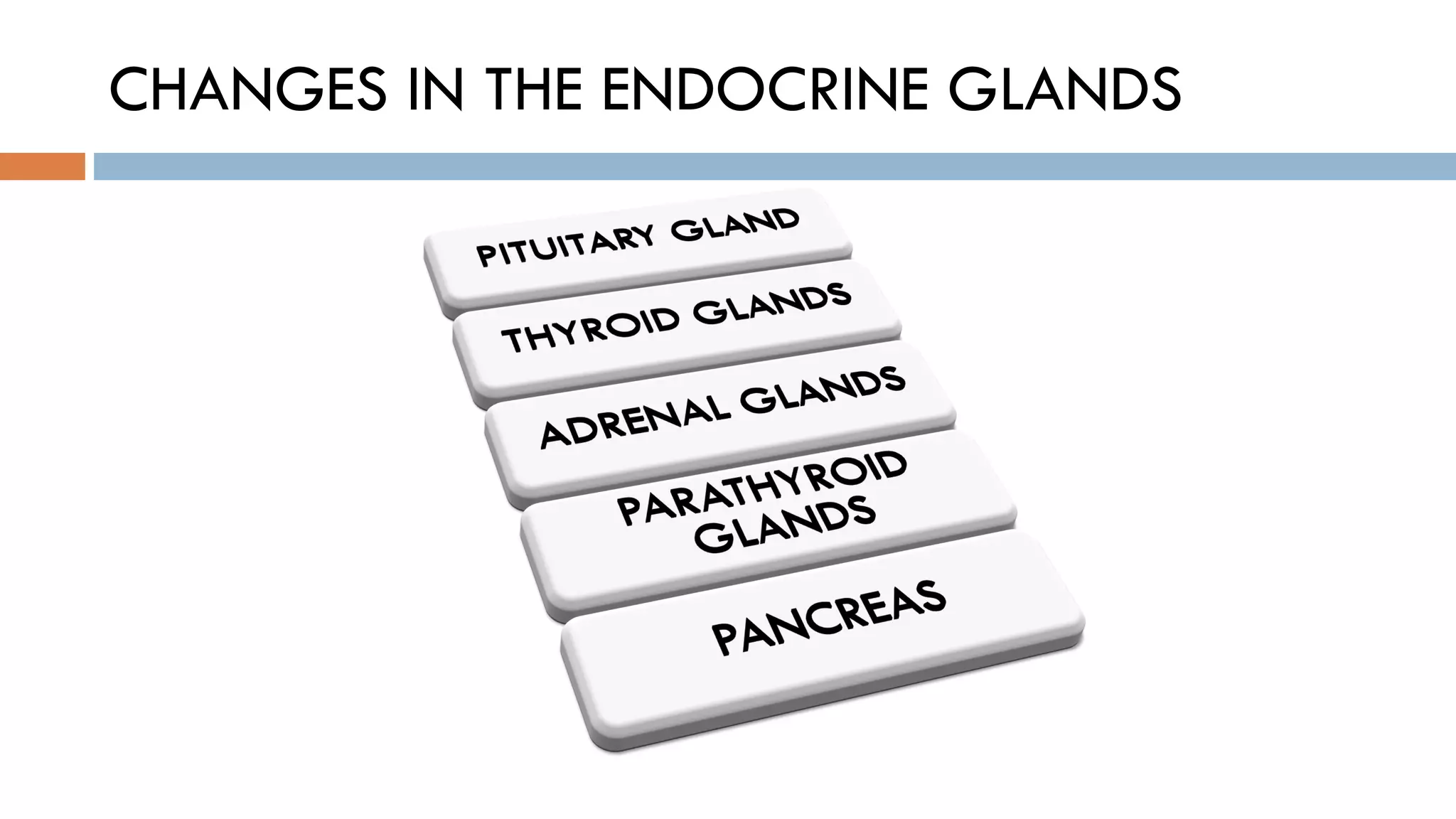 Endcrinological changes during pregnancy | PDF