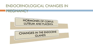 Endcrinological changes during pregnancy | PDF