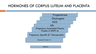 Endcrinological changes during pregnancy | PDF