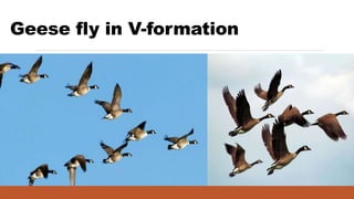 Endeavouring Unity.pptx