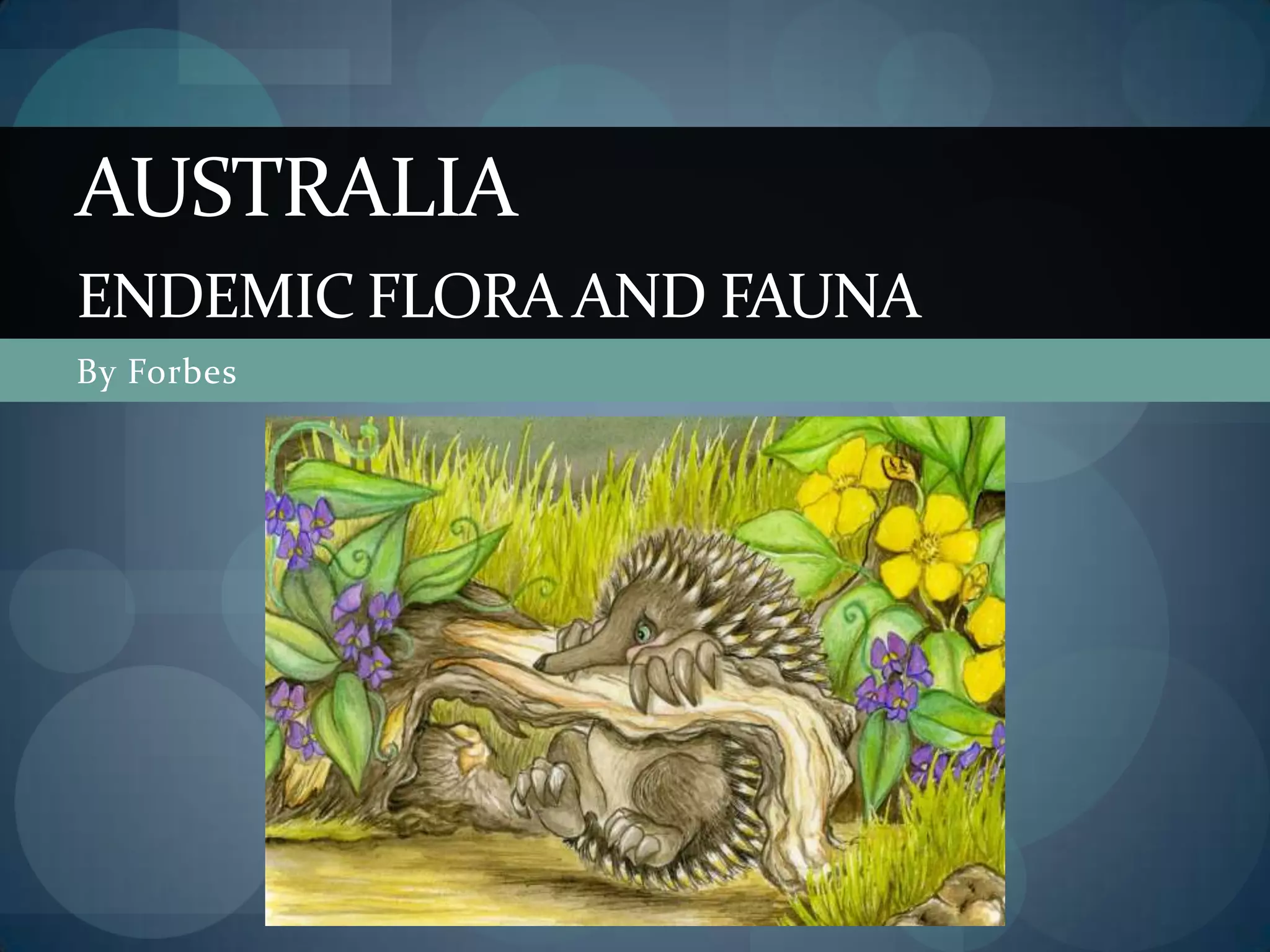 Australia's Endemic Species | PPTX