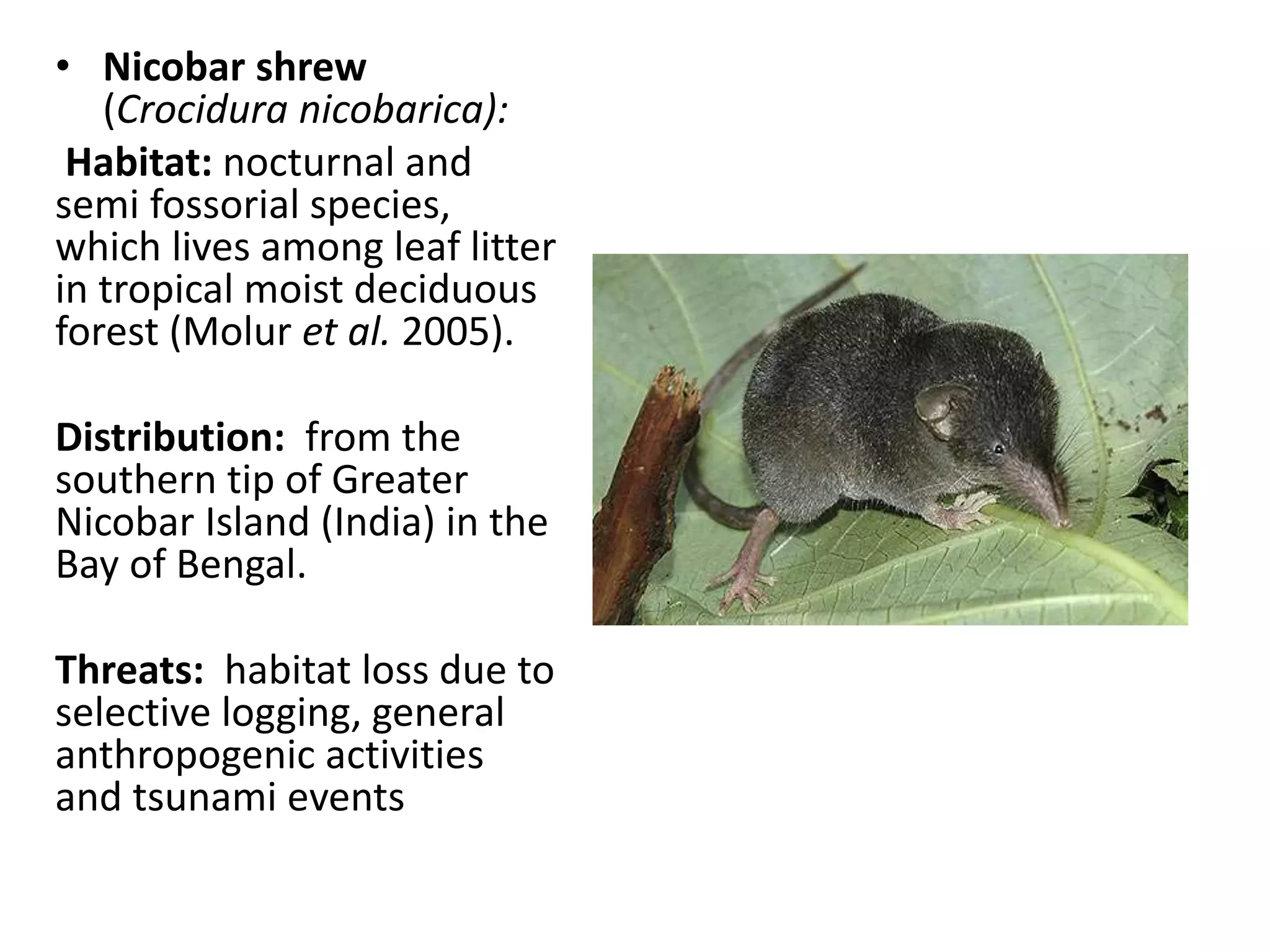 Endemic animals of india2 | PPTX