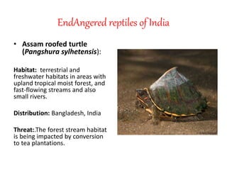 Endemic animals of india2 | PPTX