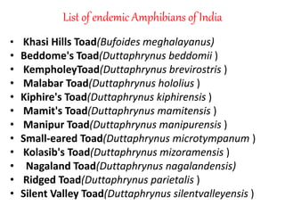 Endemic animals of india2 | PPTX