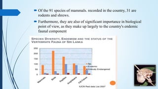 Endemic animals to sl | PPTX