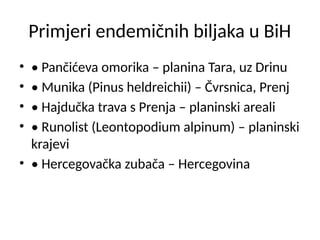 Endemicne vrste biljaka u Bosni i Hercegovini | PPTX