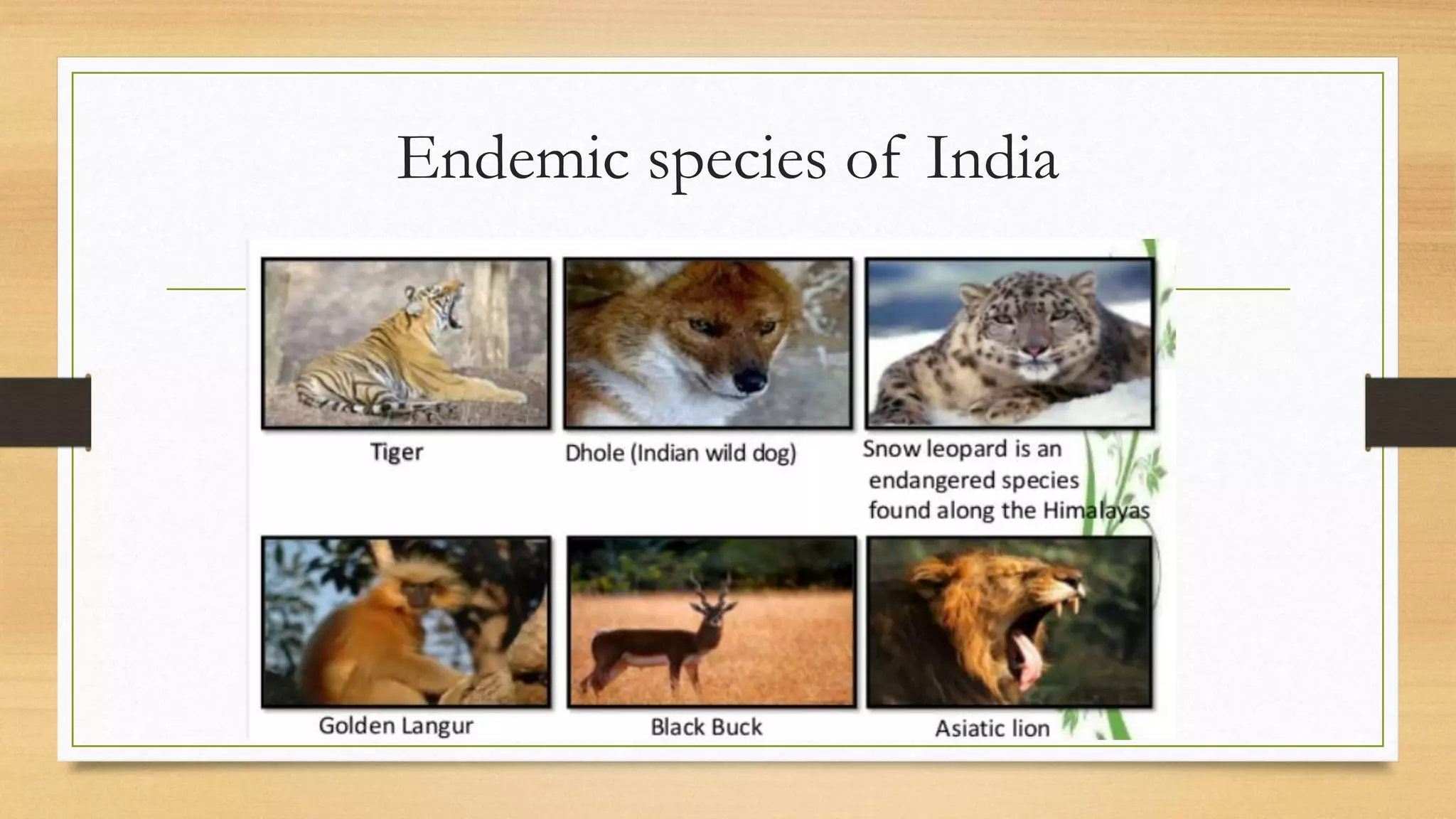 Endemic species | PPTX