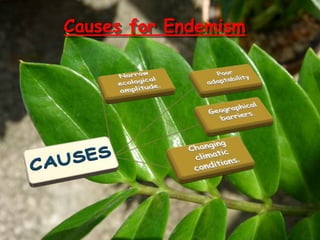 Endemic species of plants | PPTX