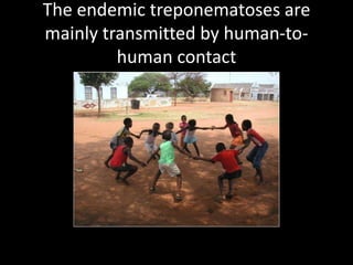 Endemic treponematoses | PPTX