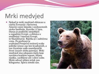 Endemične vrste biljaka i životinja u BiH | PPTX