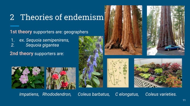 ENDEMISM and ENDEMIC SPECIES | PDF | Geography | Science