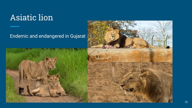 ENDEMISM and ENDEMIC SPECIES | PDF | Geography | Science