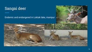 ENDEMISM and ENDEMIC SPECIES | PDF