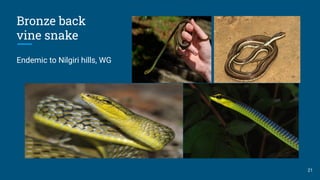 ENDEMISM and ENDEMIC SPECIES | PDF