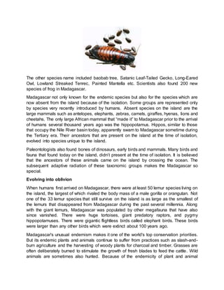 Endemism in madagascar | DOCX | Geography | Science