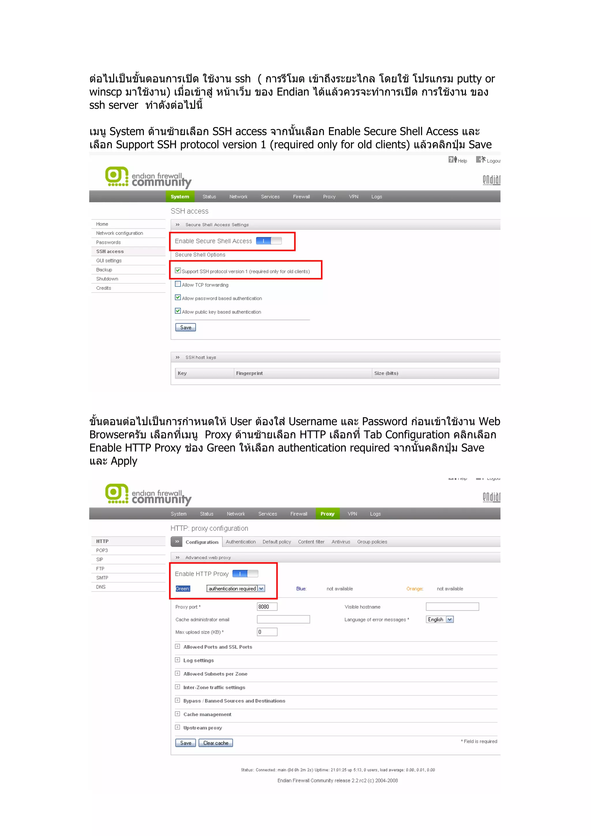 Endian Firewall | PDF
