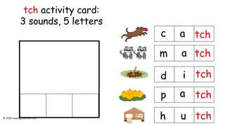 Teaching Kids Ending Digraphs ck, nt, tch | PDF