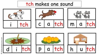 Teaching Kids Ending Digraphs ck, nt, tch | PDF