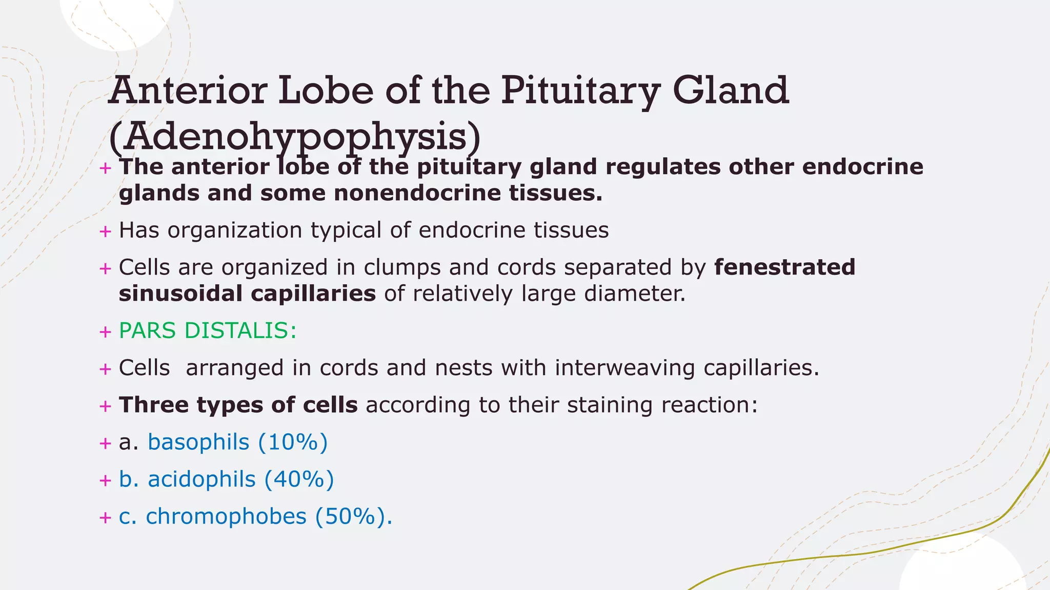 HISTOLOGY OF ENDOCRINE | PDF