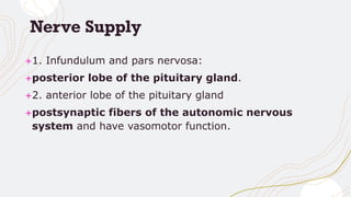 HISTOLOGY OF ENDOCRINE | PPT