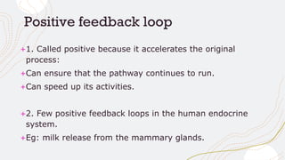 HISTOLOGY OF ENDOCRINE | PDF