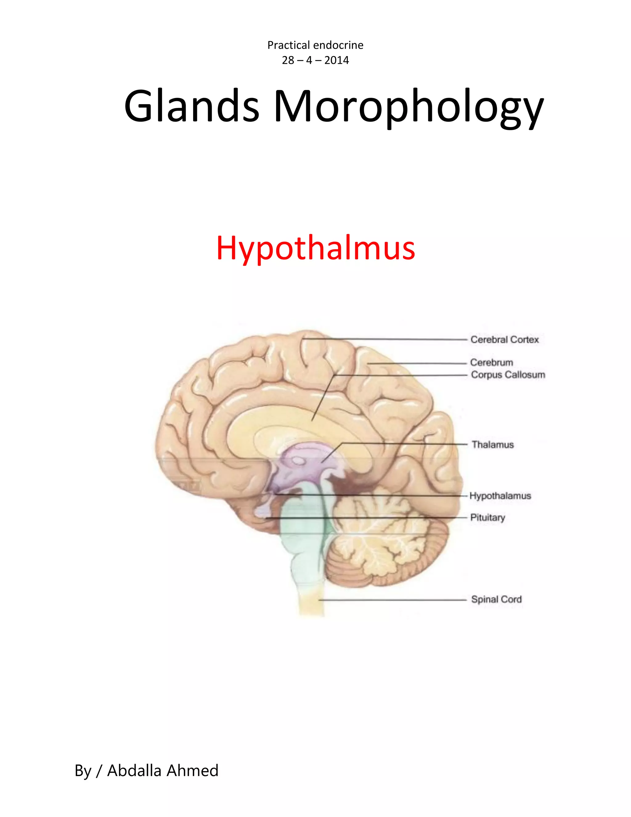 Endo.practical | PDF