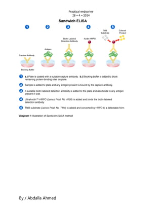 Endo.practical | PDF