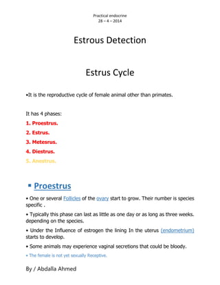 Endo.practical | PDF
