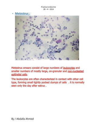 Endo.practical | PDF