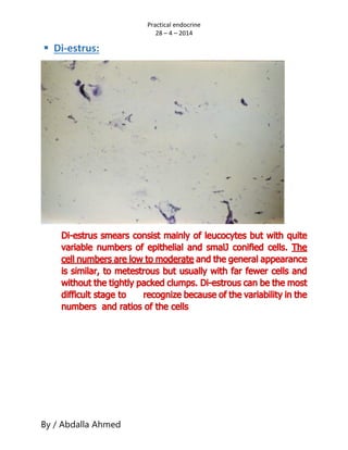 Endo.practical | PDF