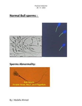 Endo.practical | PDF