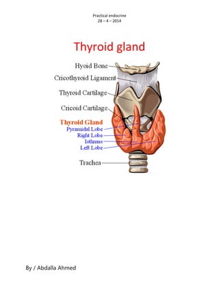 Endo.practical | PDF