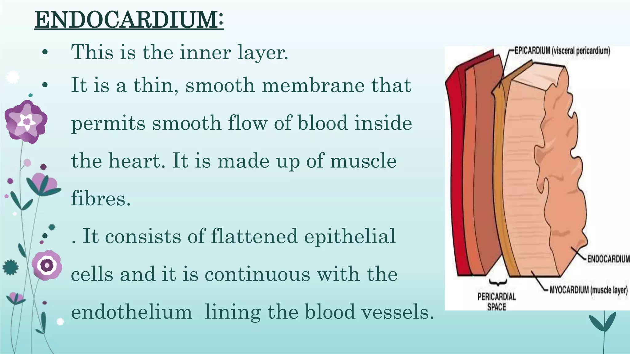 endocarditis pericarditis myocarditis | PDF