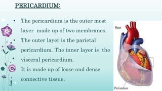 endocarditis pericarditis myocarditis | PDF