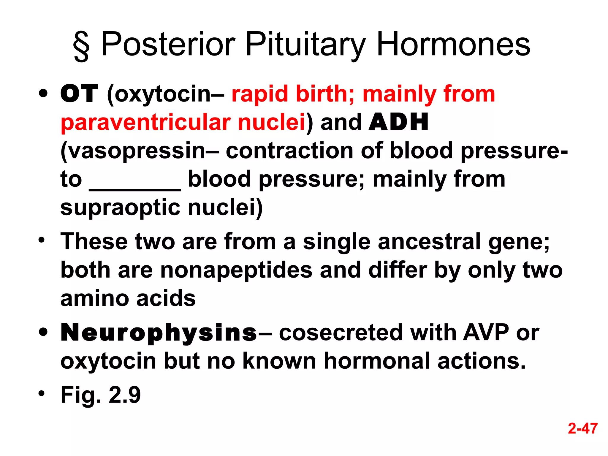 Endo ch02-pituitary | PPT