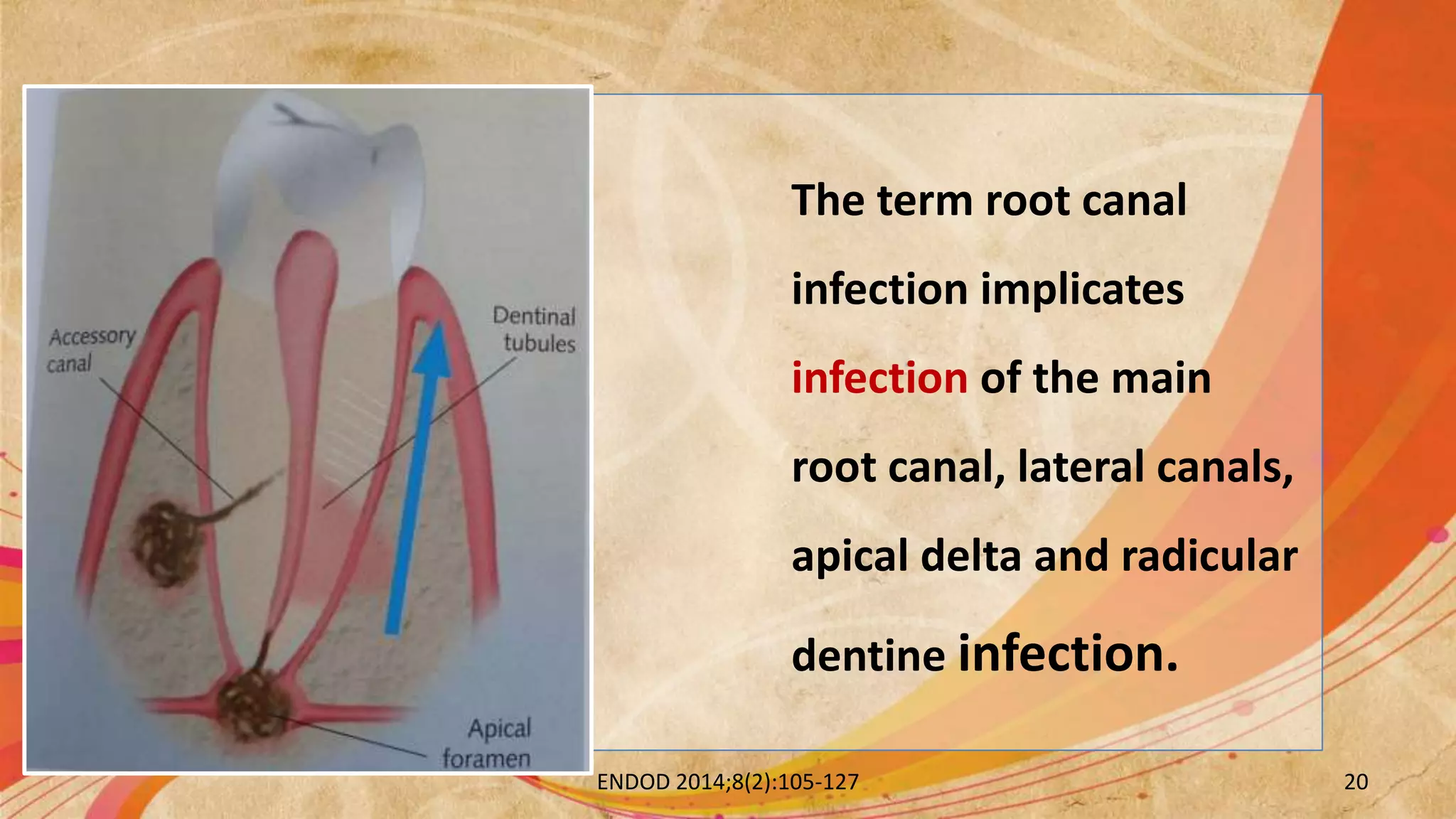 ENDO-PERIO LESION: DIAGNOSIS, PROGNOSIS AND DECISION-MAKING. Antonio ...