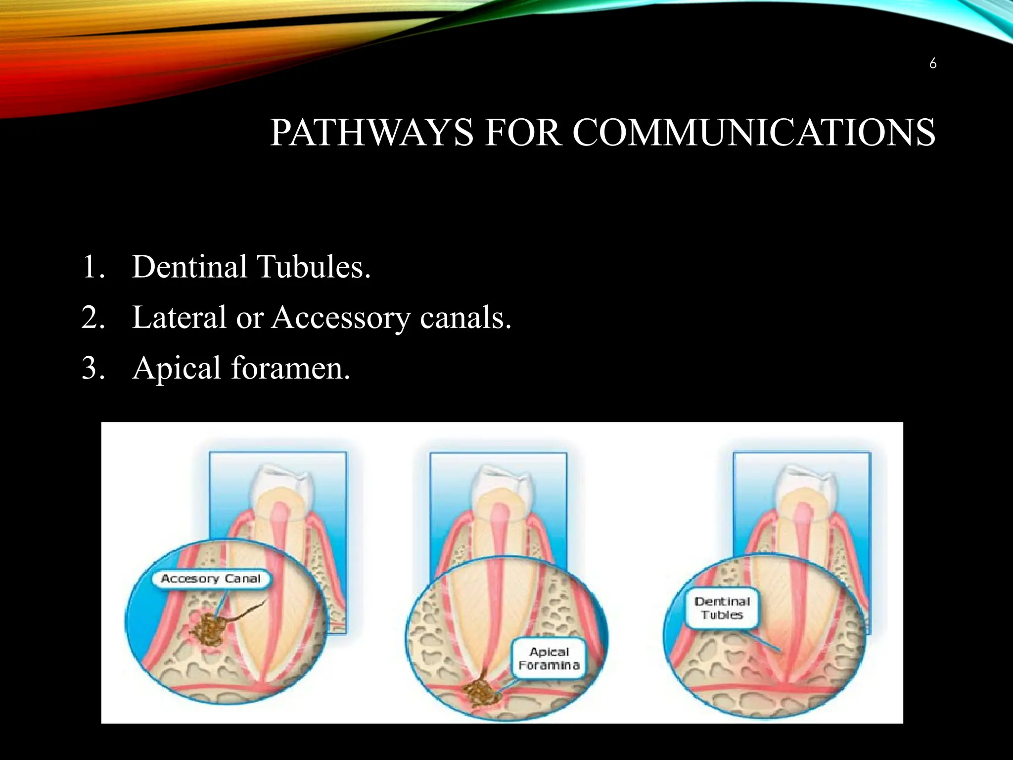 ENDO-PERIO LESIONS is one and both pulp and periodontal tissue are ...
