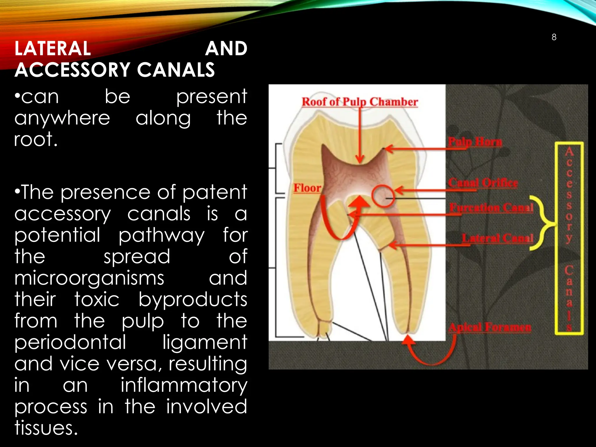 ENDO-PERIO LESIONS is one and both pulp and periodontal tissue are ...