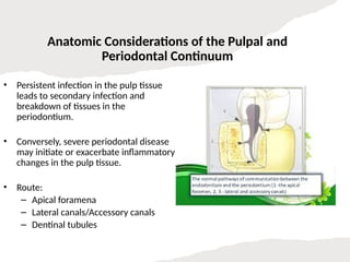 endo-perio lesions or perio endo lesion16-06-21.pptx