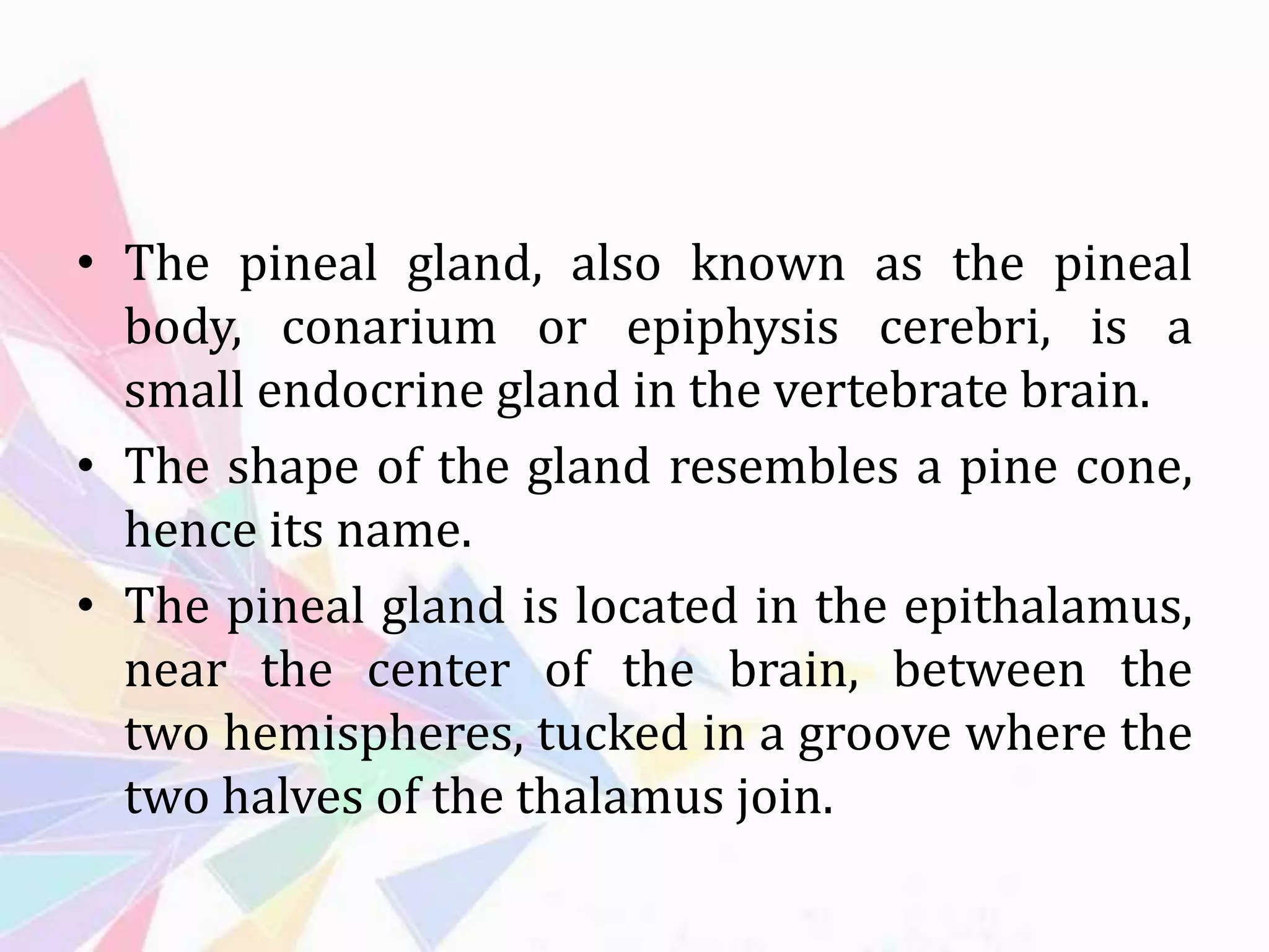 Endocrine Glands | PPT