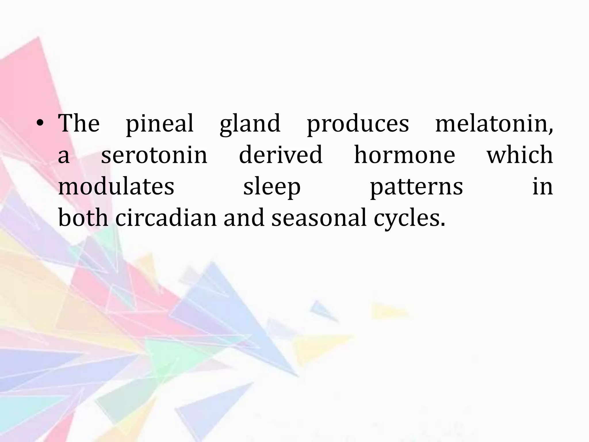 Endocrine Glands | PPT