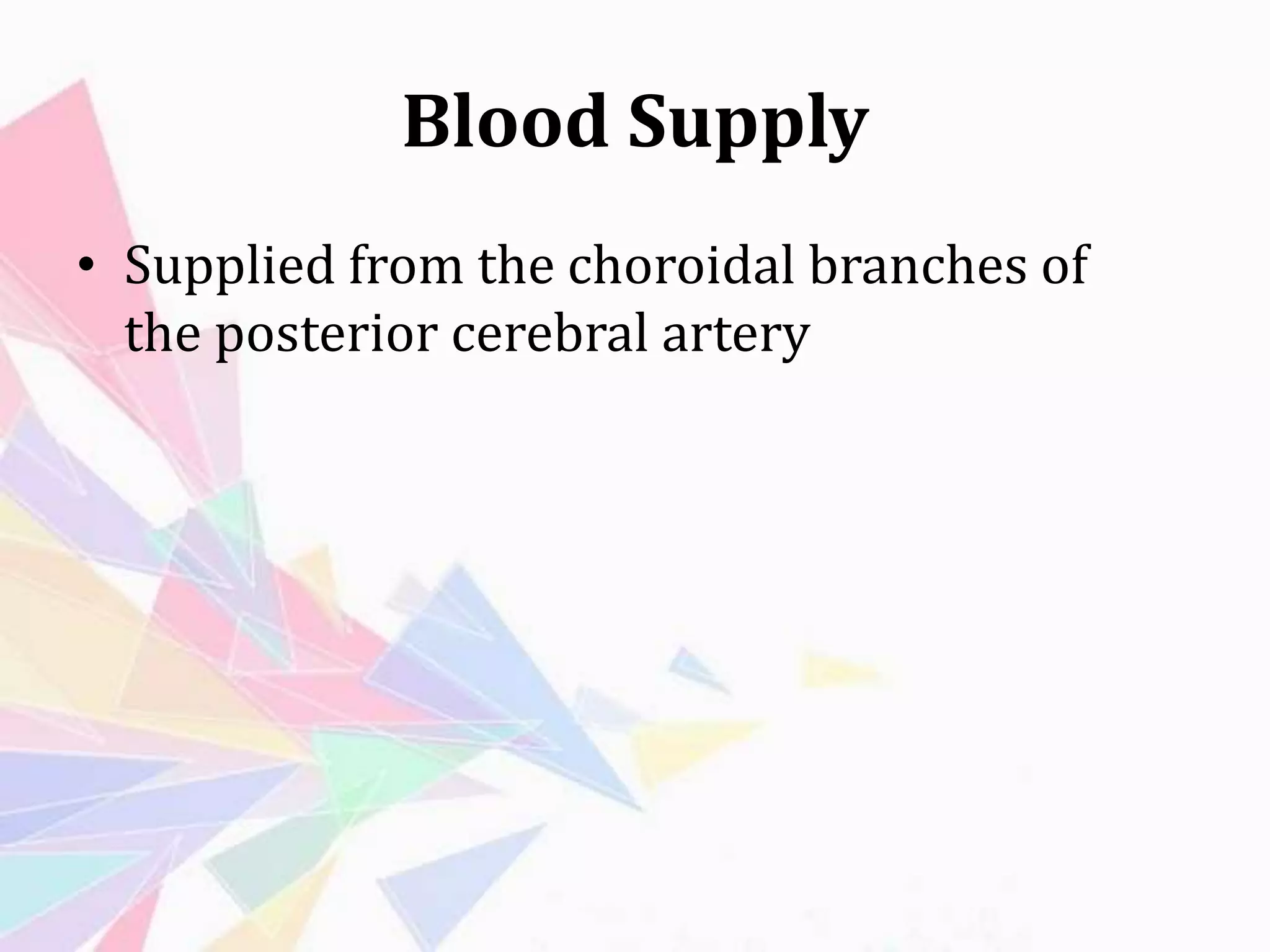Endocrine Glands | PPT