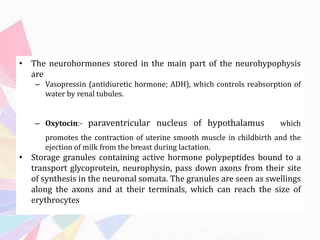 Endocrine Glands | PPSX