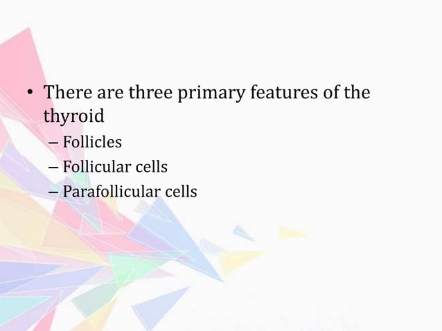 Endocrine Glands | PPT