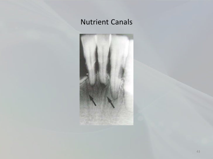 Radiology in Endodontics
