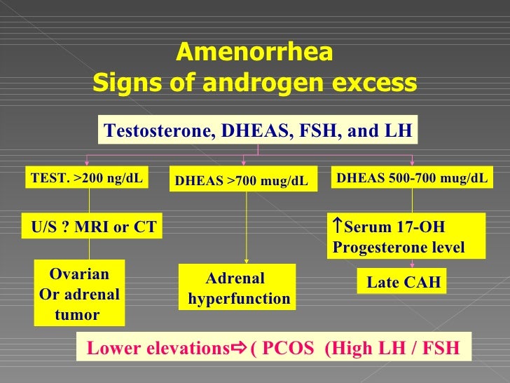 17 Oh Progesterone Levels And Pcos Diet - dockinter
