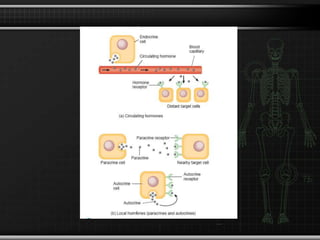 Endo 1 janine | PPTX