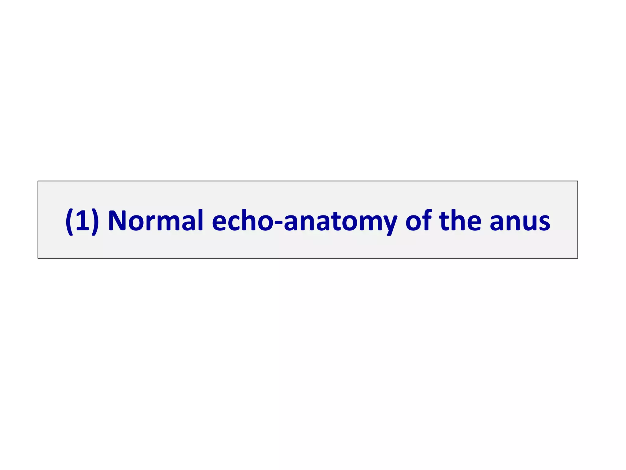 Endoanal ultrasound in anal diseases | PPTX