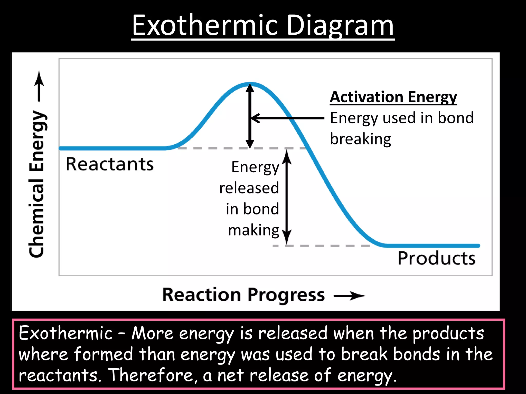 Endo and Exo.pptx