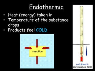 Endo and Exo.pptx